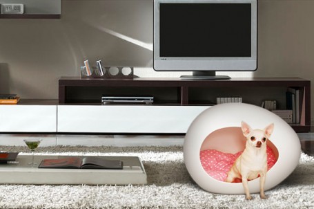 pEi Pod for Cats and Dogs - At Home with Kim Vallee